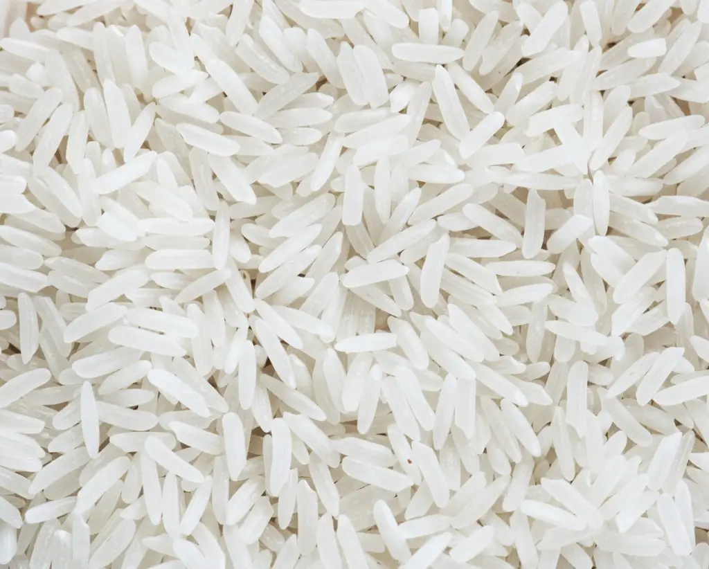 Can You Compost Rice What You Should Know Before Adding It To Your can-you-compost-rice-what-you-should-know-before-adding-it-to-your